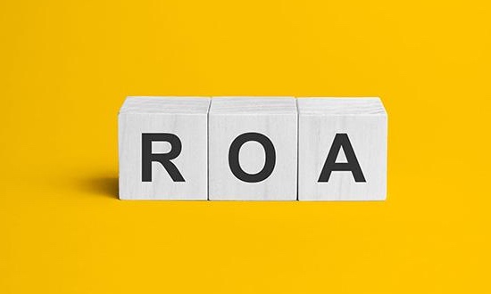 ROA: cos'è, come si calcola e come usare il Return on Assets | Rankia ...